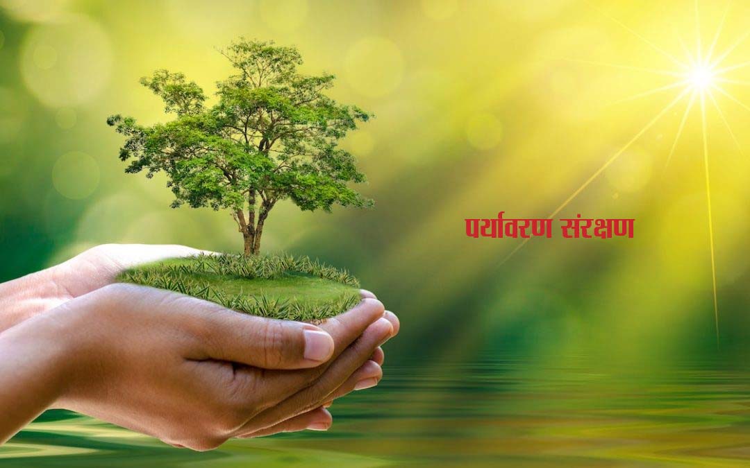 पर्यावरण संरक्षण हर व्यक्ति का दायित्व - Divya Himachal