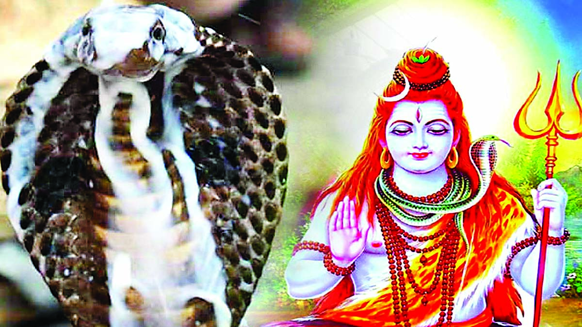 नाग पंचमी : बरसों से हो रही नागों की पूजा - Divya Himachal