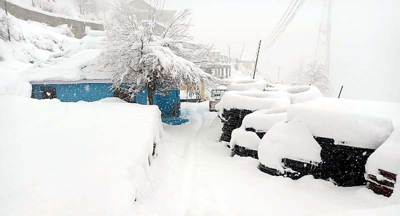 Snowfall In Himachal : हिमाचल में नए साल की पहली बर्फबारी, निचले ...
