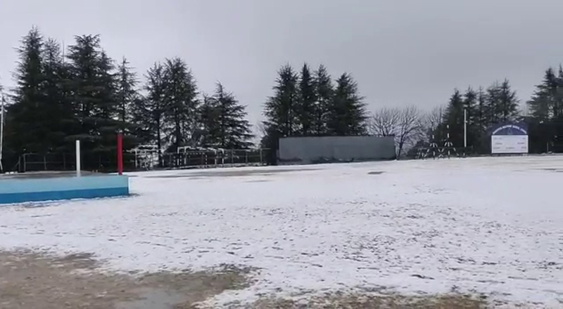 Snowfall in Himachal: देखिए चायल में विश्व के सबसे ऊंचे क्रिकेट ग्राउंड ...