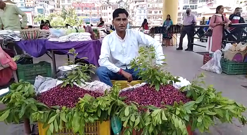 Kafal: मंडी के बाजारों में घुलने लगी काफल की मिठास, 200 रुपए प्रतिकिलो ...