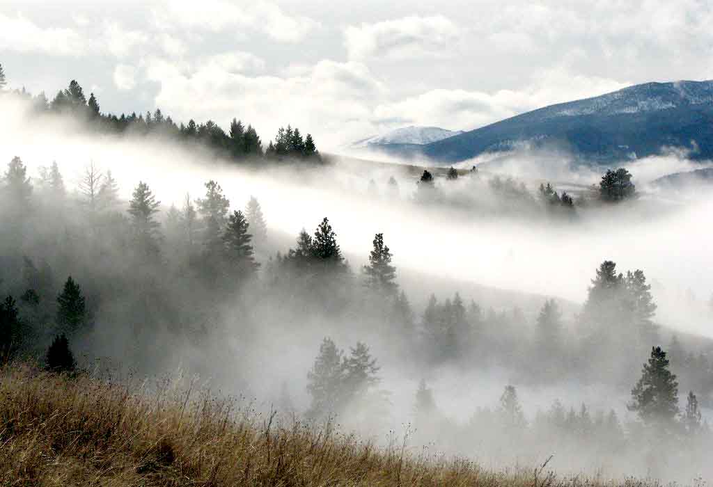 Himachal Weather: कोहरे से जम गया हिमाचल, सुबह-शाम प्रचंड ठंड से लोगों ...