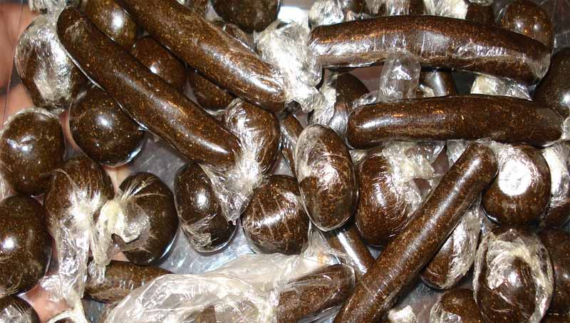 CHARAS: नशा तस्करों के हौसले बुलंद; मंडी पुलिस ने पकड़ी 64 किलो चरस, 27 ...