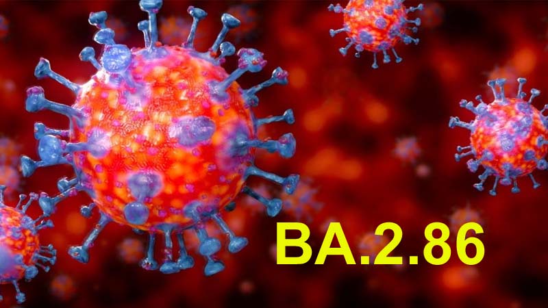 BA.2.86 : आ गया Covid का नया वैरिएंट, अमरीका सहित इन देशों में नए ...